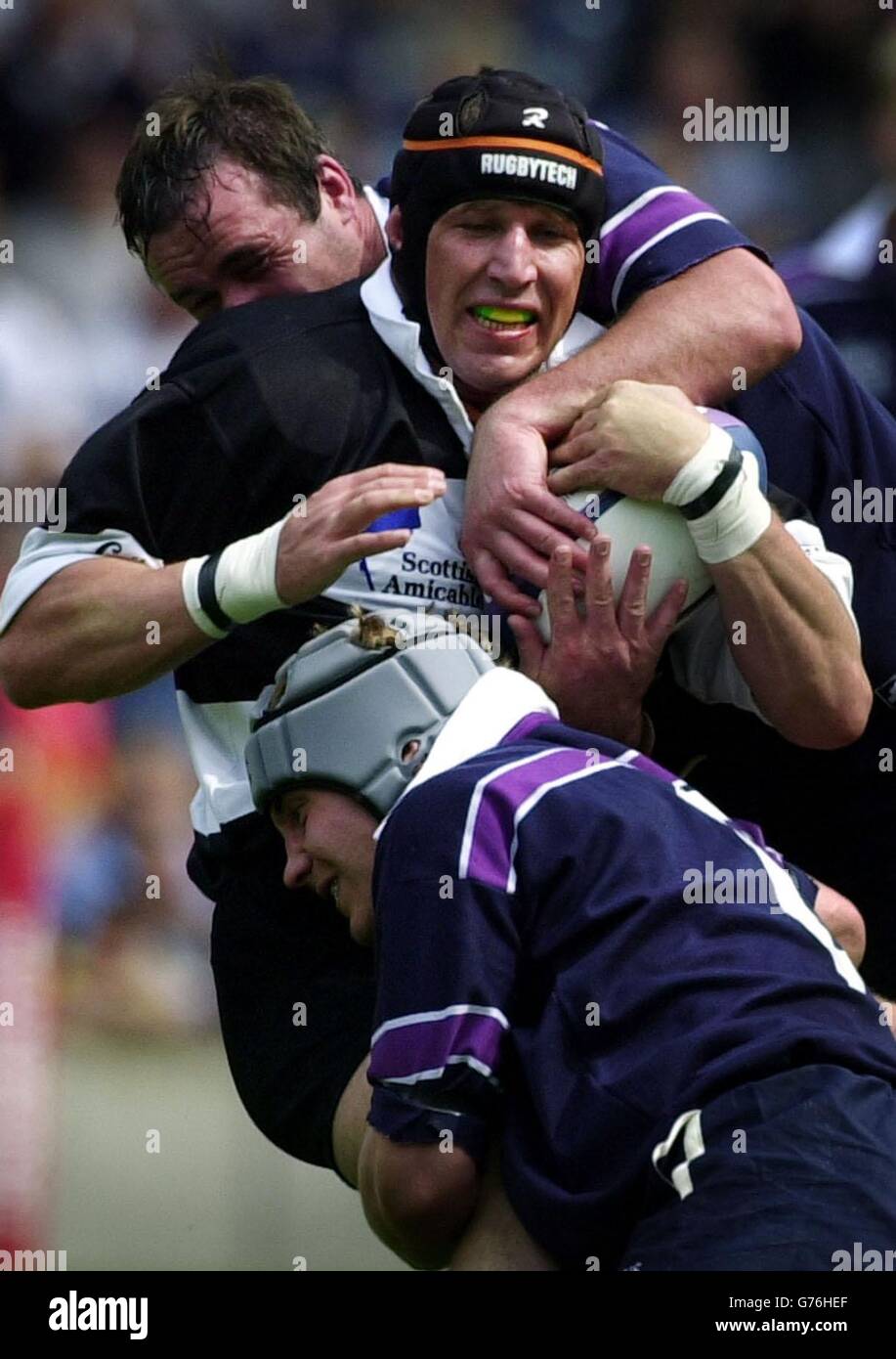 In the prudential tour at edinburghs murrayfield stadium hi-res stock ...