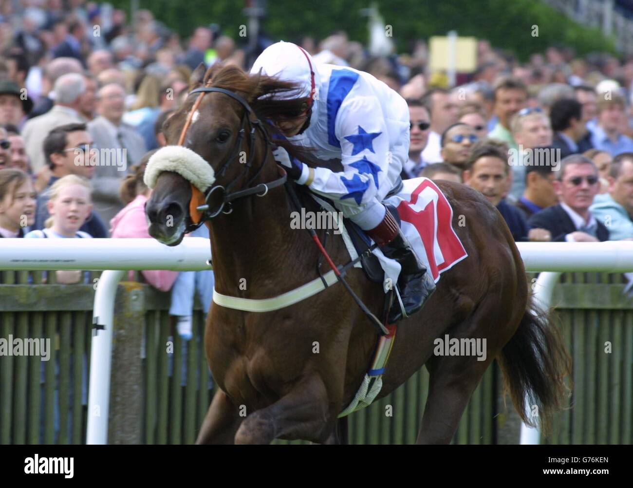 Newmarket Our Teddy win Stock Photo - Alamy