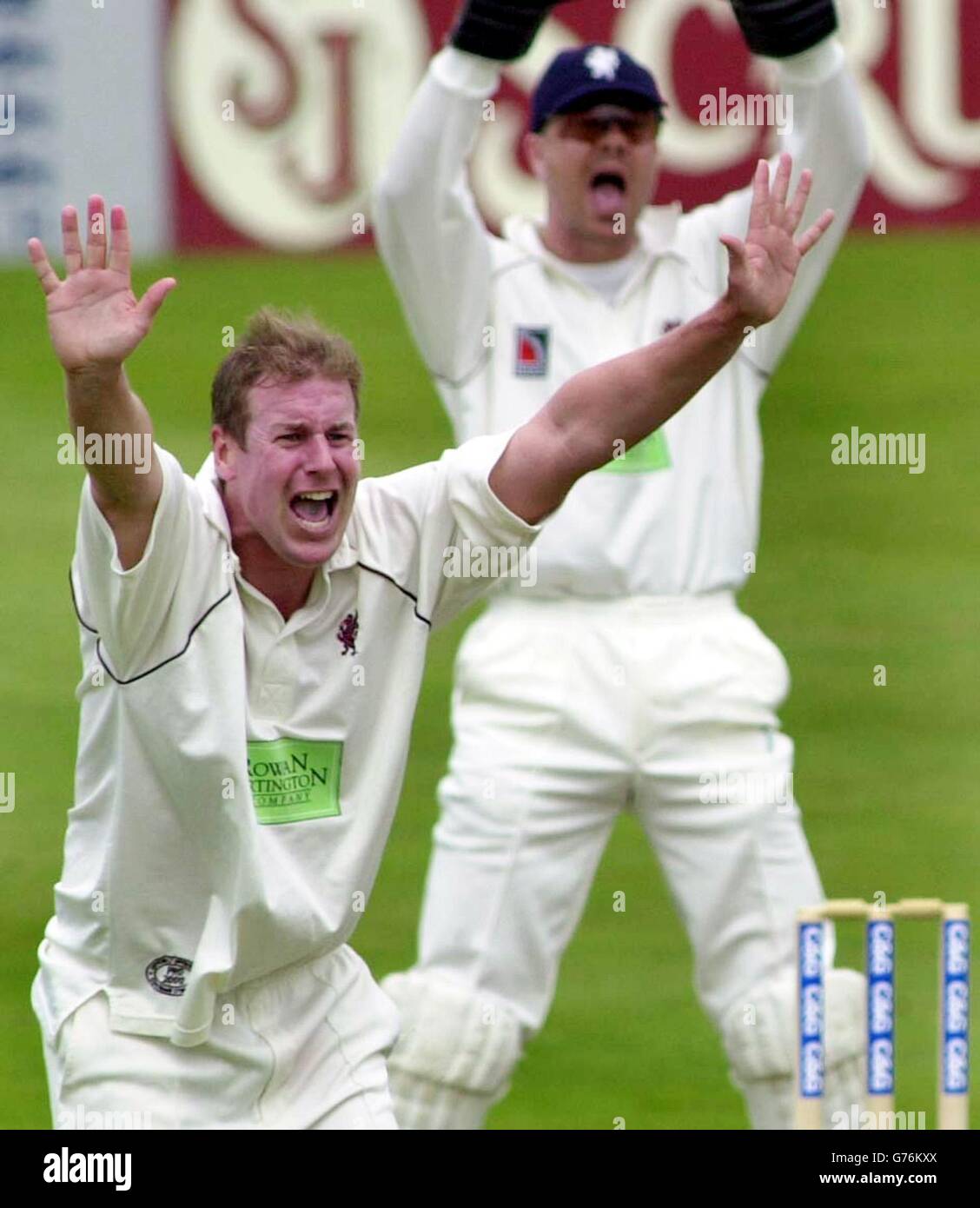 Cricket bowler appealing arms raised hi-res stock photography and ...