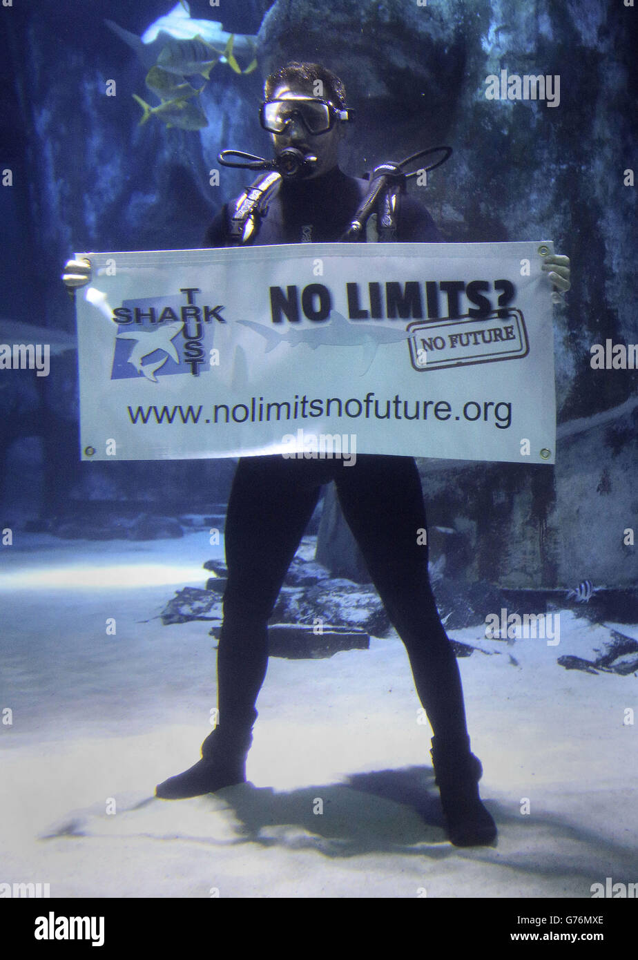 Launch of the Shark Trust No Limits? campaign Stock Photo - Alamy