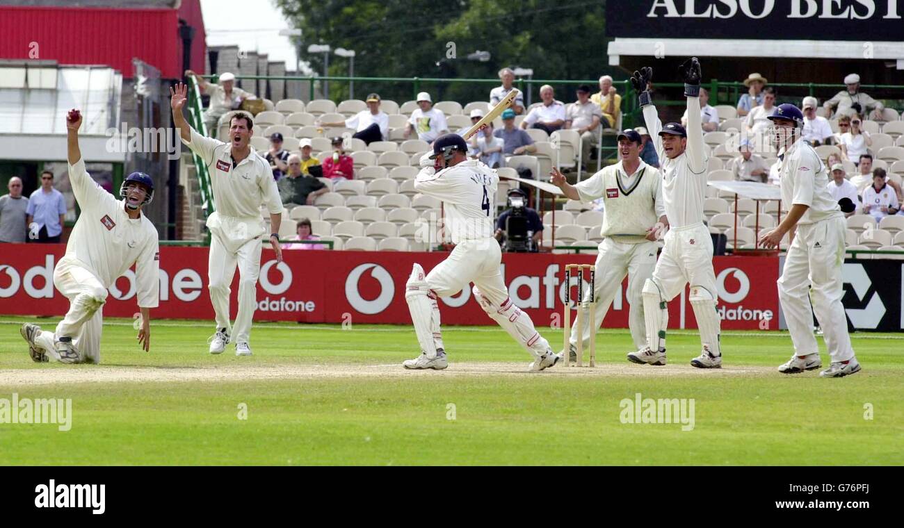 Cricket celebrating photographer hi-res stock photography and images ...