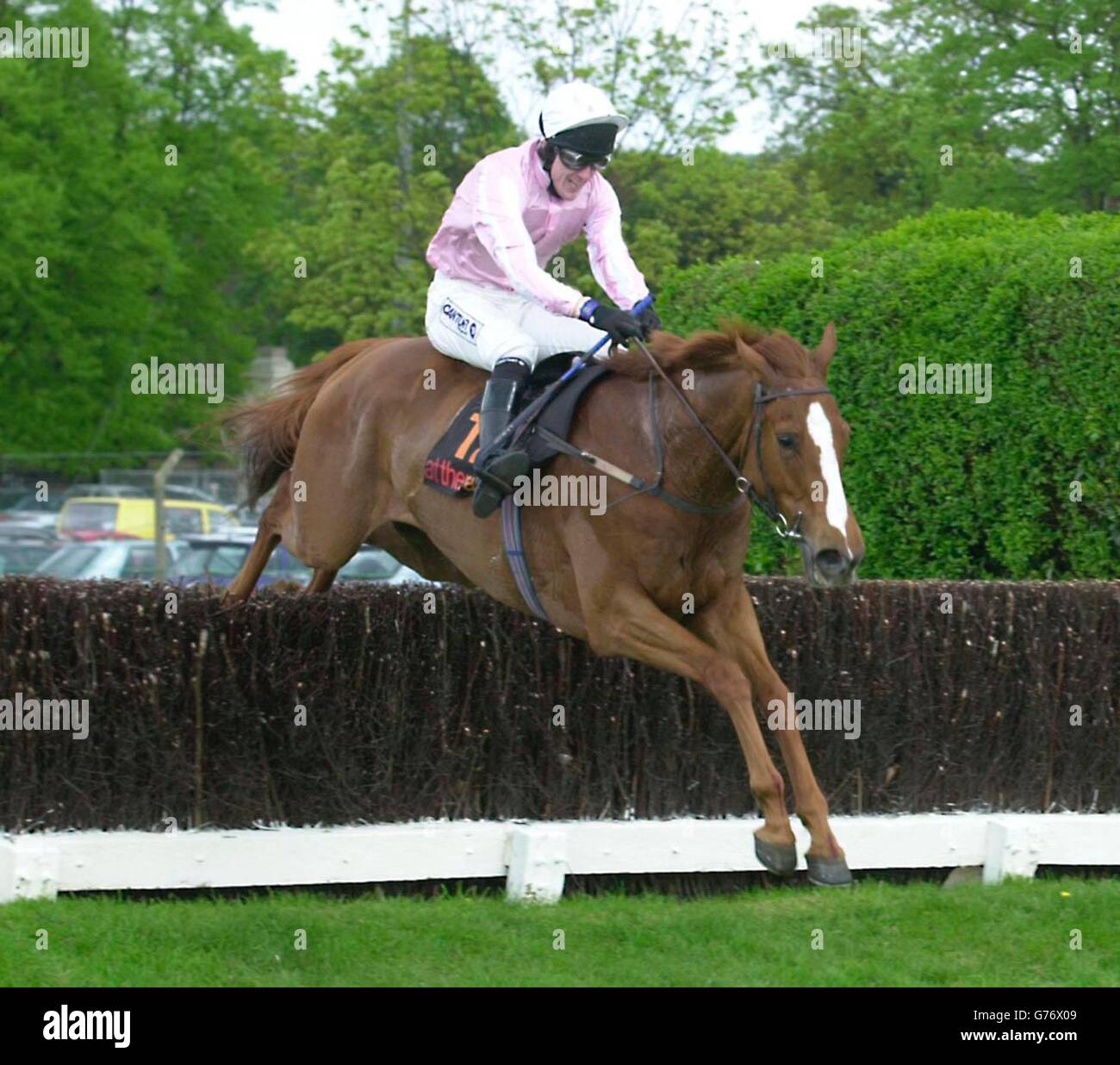 Bounce back hi-res stock photography and images - Alamy