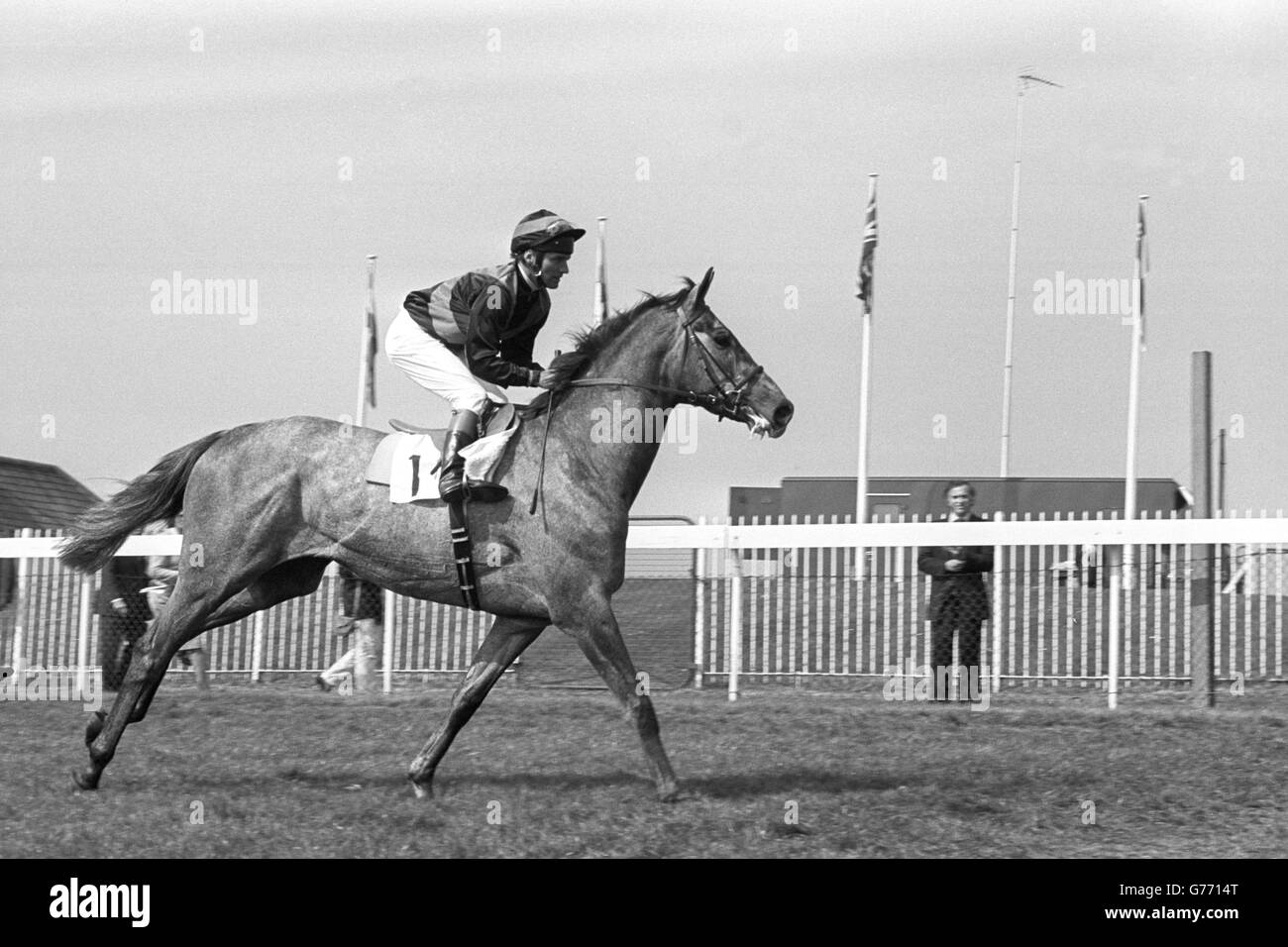 Horse Racing - Blue Riband Trial Stakes - Epsom Stock Photo - Alamy
