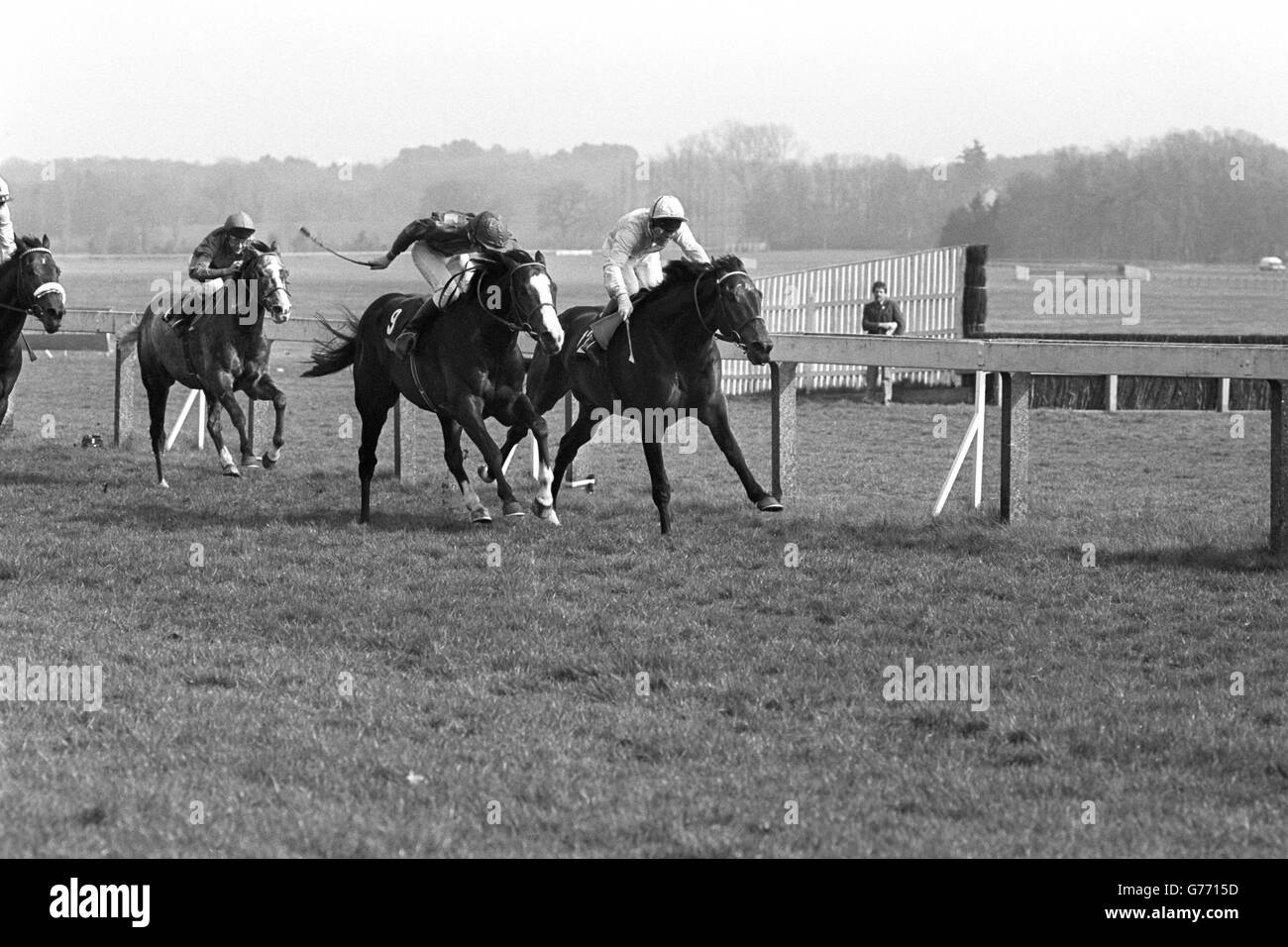 John porter horse hi-res stock photography and images - Alamy