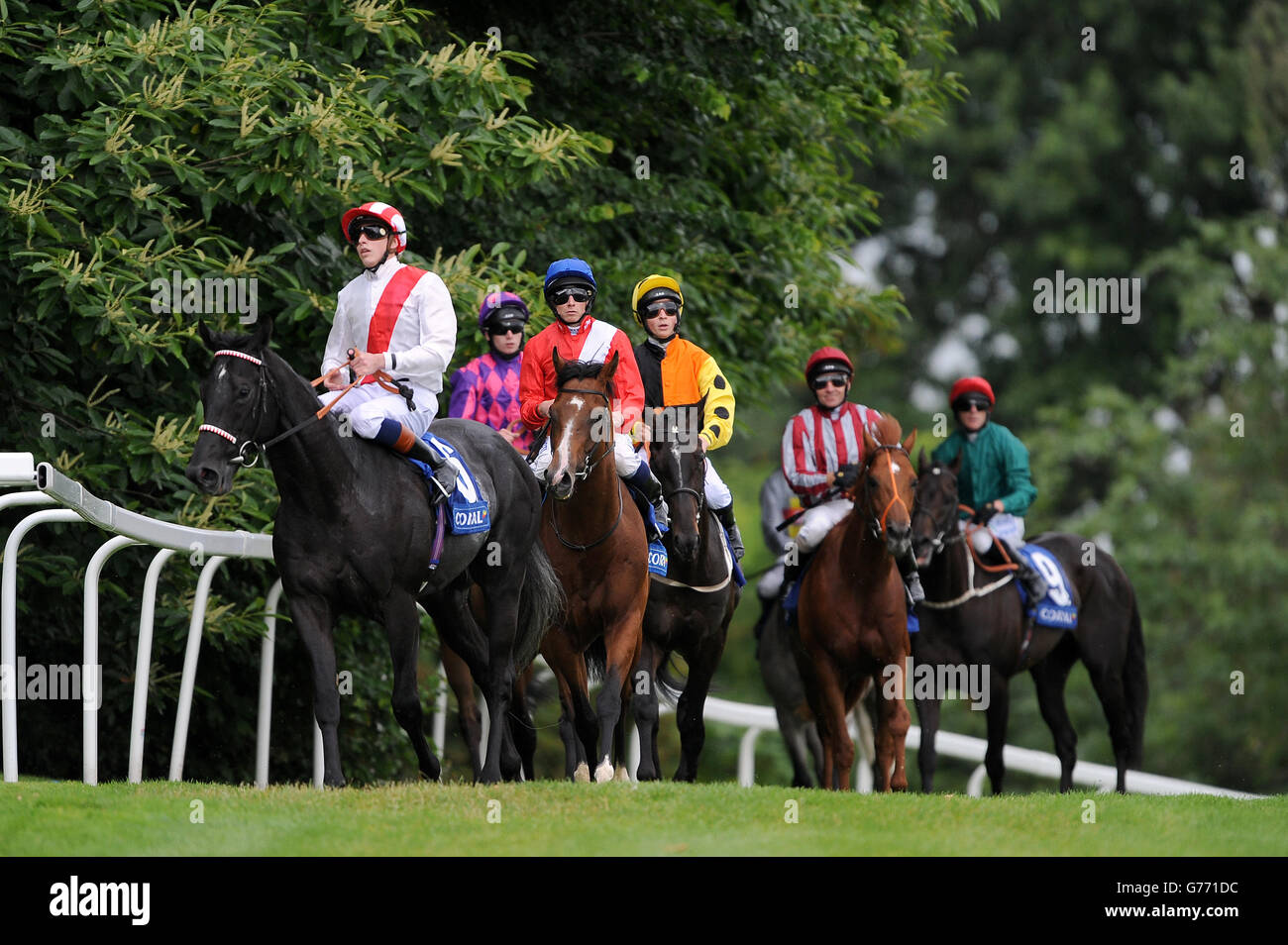Horse Racing - Coral-Eclipse Raceday - Sandown Park Stock Photo - Alamy