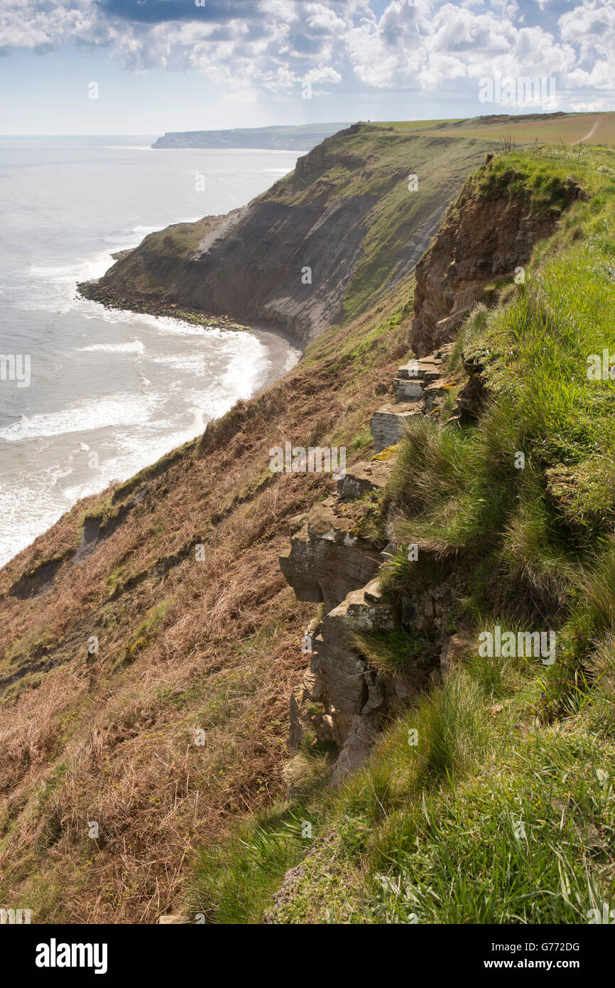 Cleveland cliffs hi-res stock photography and images - Alamy