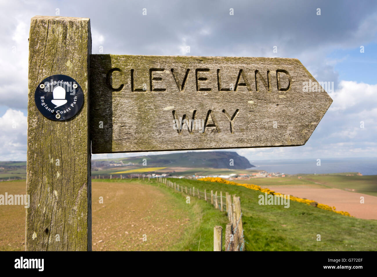 UK, England, Yorkshire, Staithes, Rosedale Cliffs wooden Cleveland Way ...