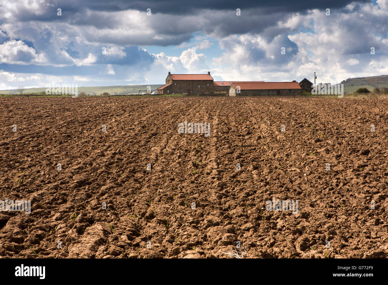 UK, England, Yorkshire, Staithes, Cliff Farm, ploughed field beside ...