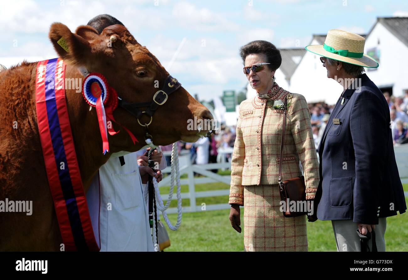 Great Yorkshire Show Stock Photo - Alamy