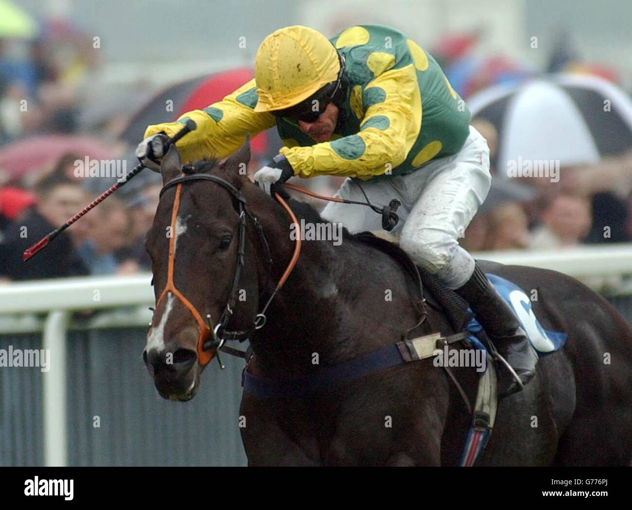 Talbot Avenue - John Smiths Sprint Championship Final Stock Photo - Alamy