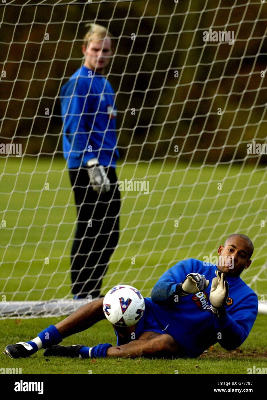 Murray & Oakes - Wolves Training Stock Photo - Alamy