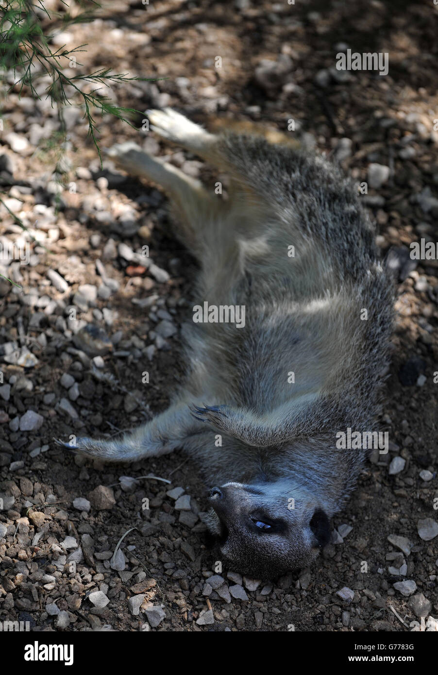 London as temperatures across many southern parts of england hi-res ...