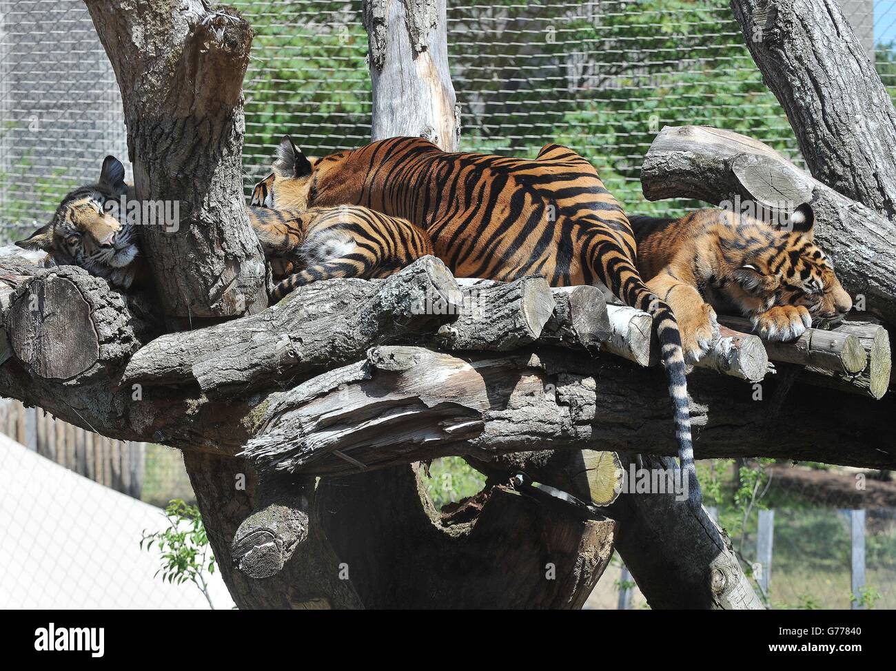 London as temperatures across many southern parts of england hi-res ...