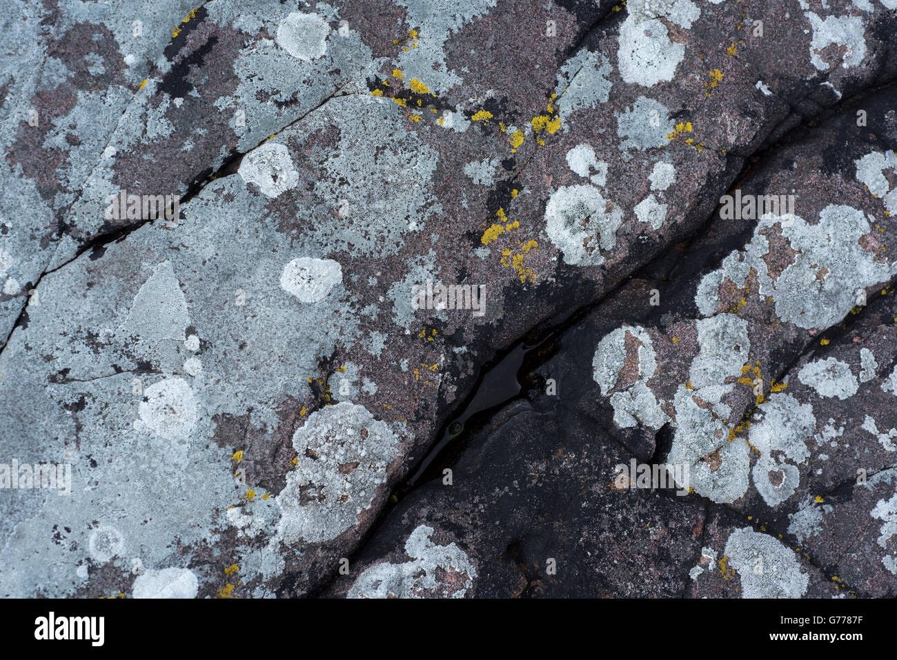 Lichened torridon sandstone at Mellon Udrigle Stock Photo - Alamy