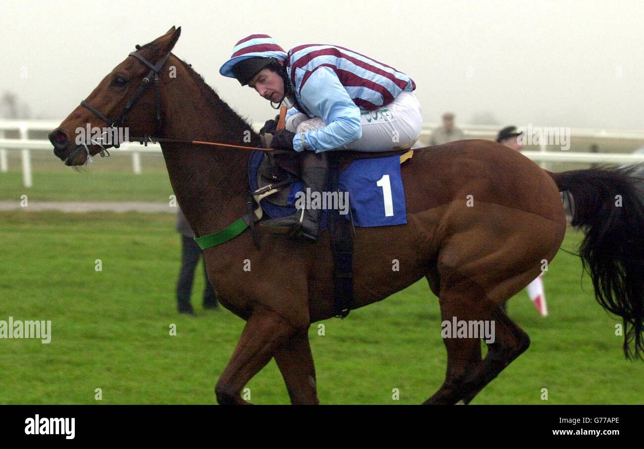 Edredon Bleu - William Hill Haldon Gold Cup Chase Stock Photo - Alamy