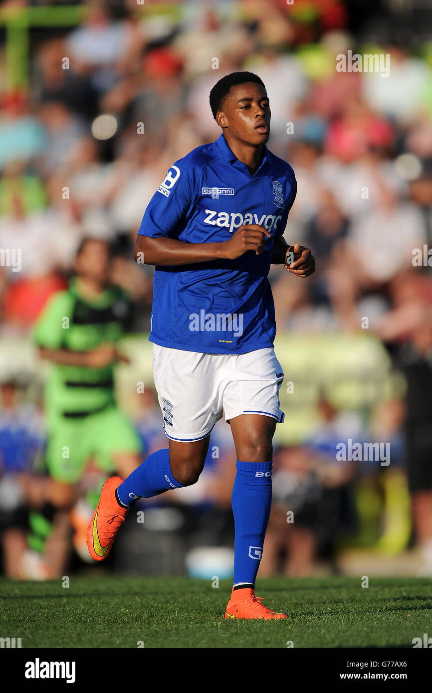 Reece brown forest green hi-res stock photography and images - Alamy