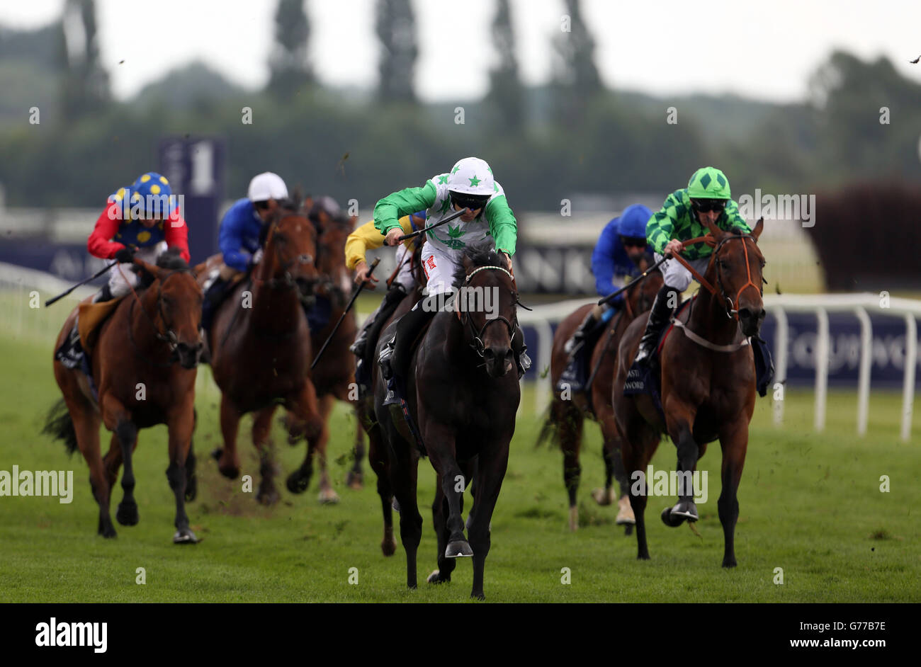Horse Racing - Party in the Paddock - Newbury Racecourse Stock Photo ...