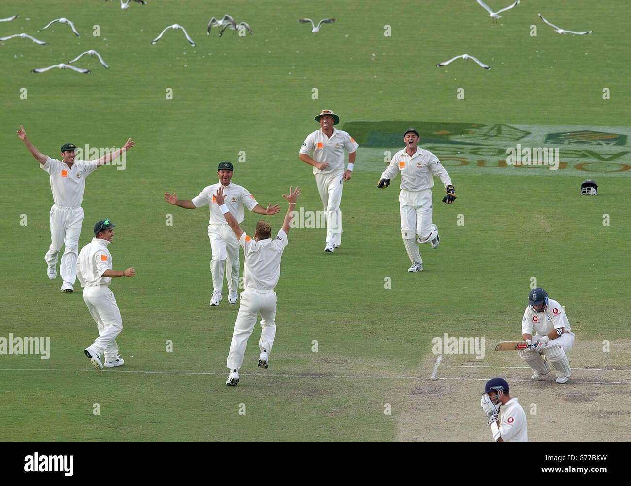 Left to right australian cricketers damien martin hi-res stock ...
