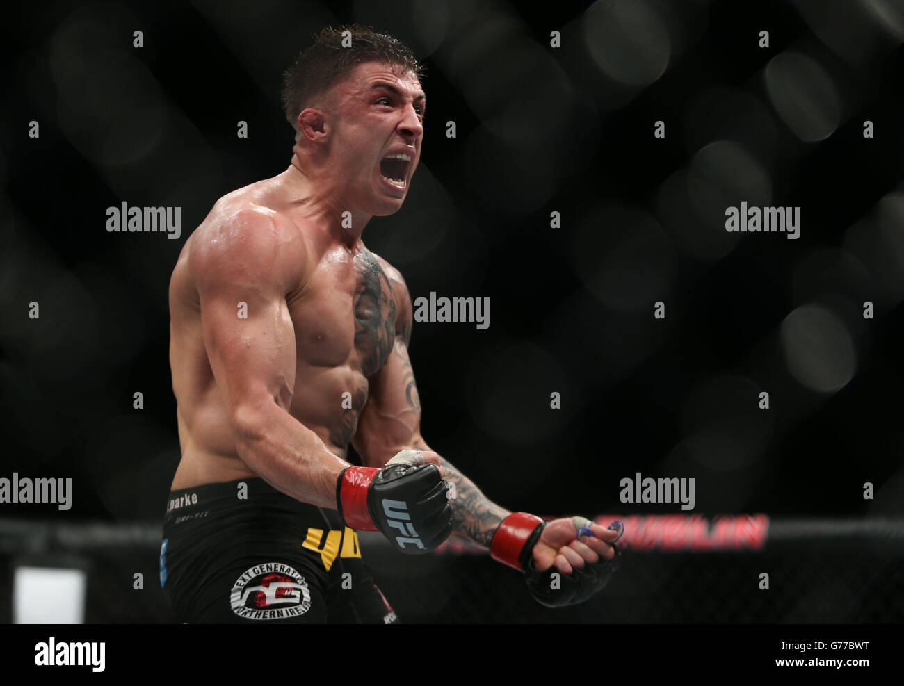 Northern Ireland's Norman Parke during UFC Lightweight Division bout ...