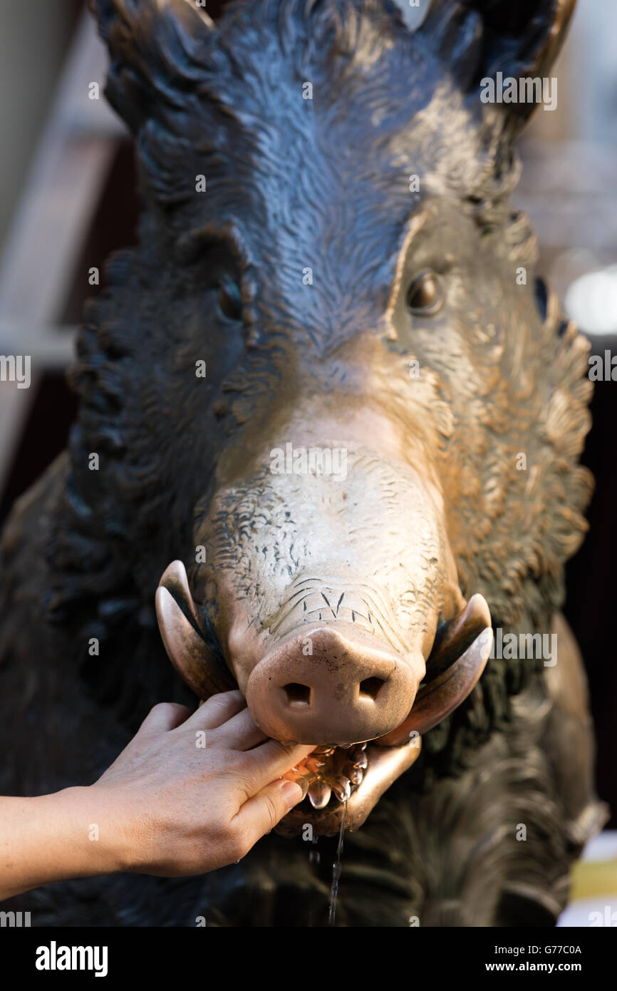 Front view of famous pig's fountain in Florence Stock Photo - Alamy