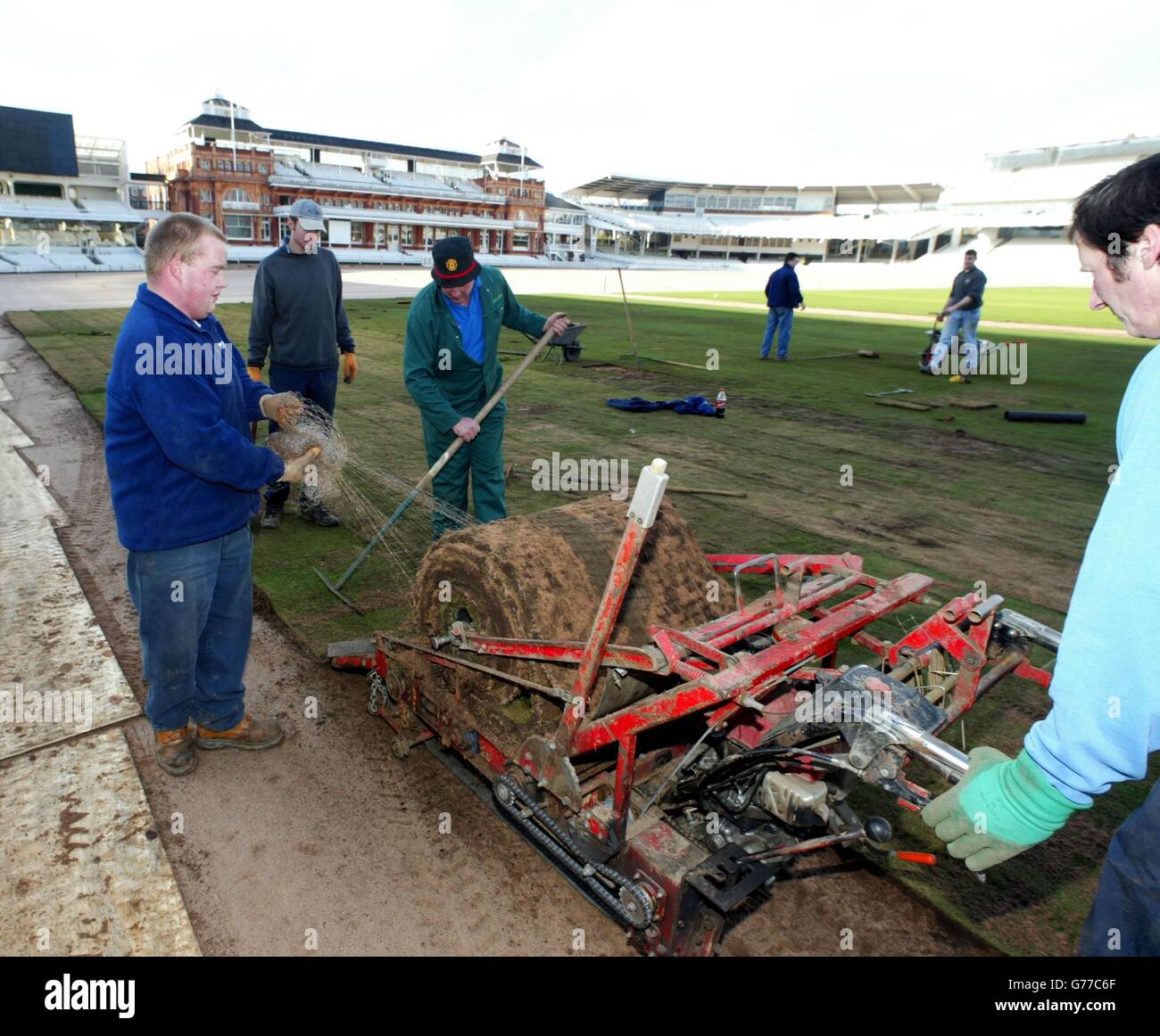 Groundstaff lay turf at Lords Stock Photo - Alamy