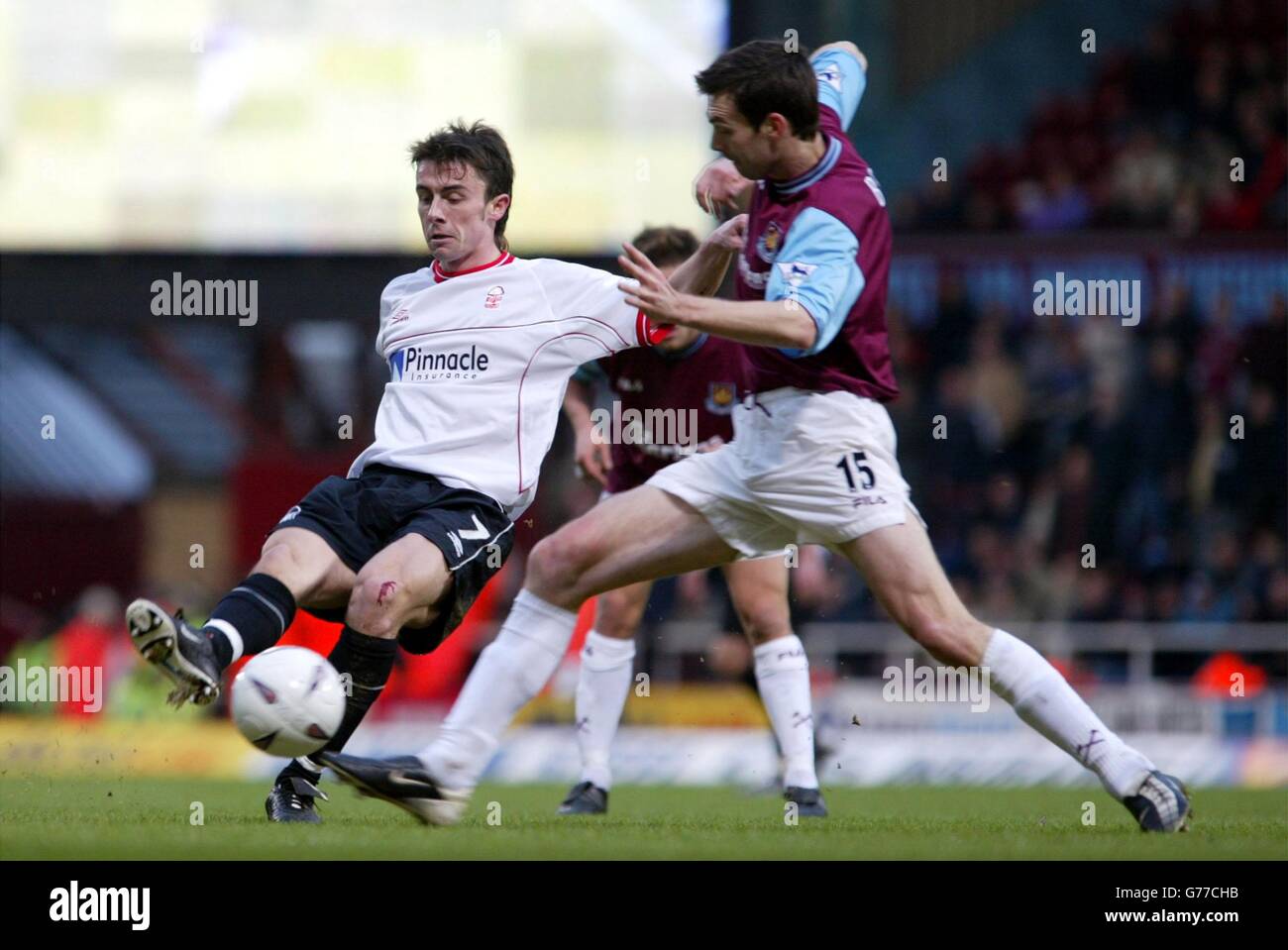 Breen forest hi-res stock photography and images - Alamy