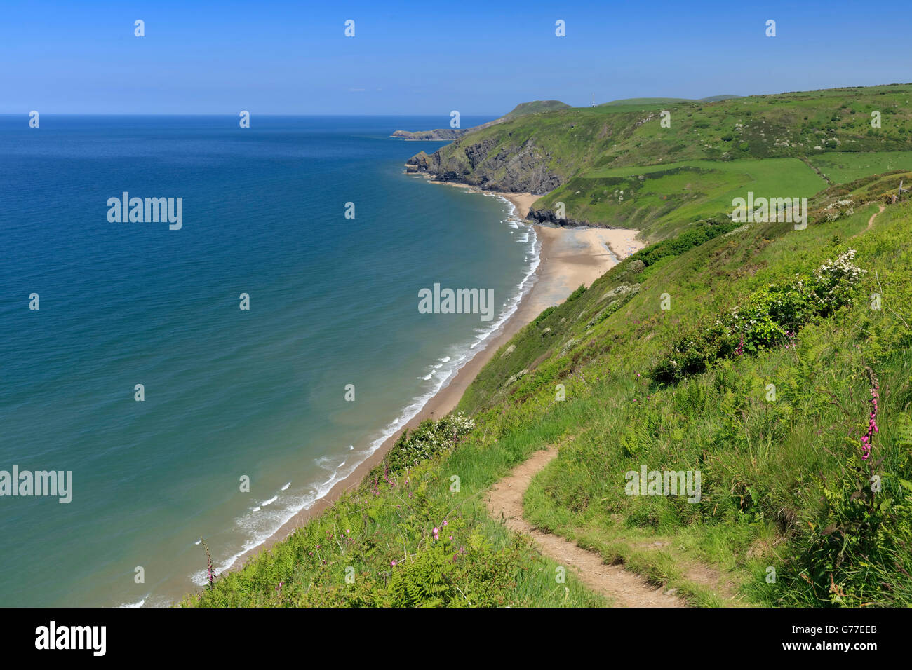 Penbryn beach from the Ceredigion coast path Stock Photo - Alamy