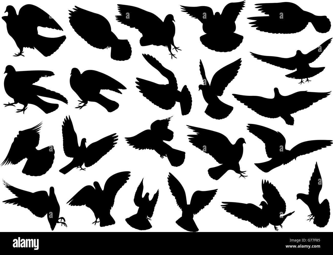 Different animals collage Stock Vector Images - Alamy