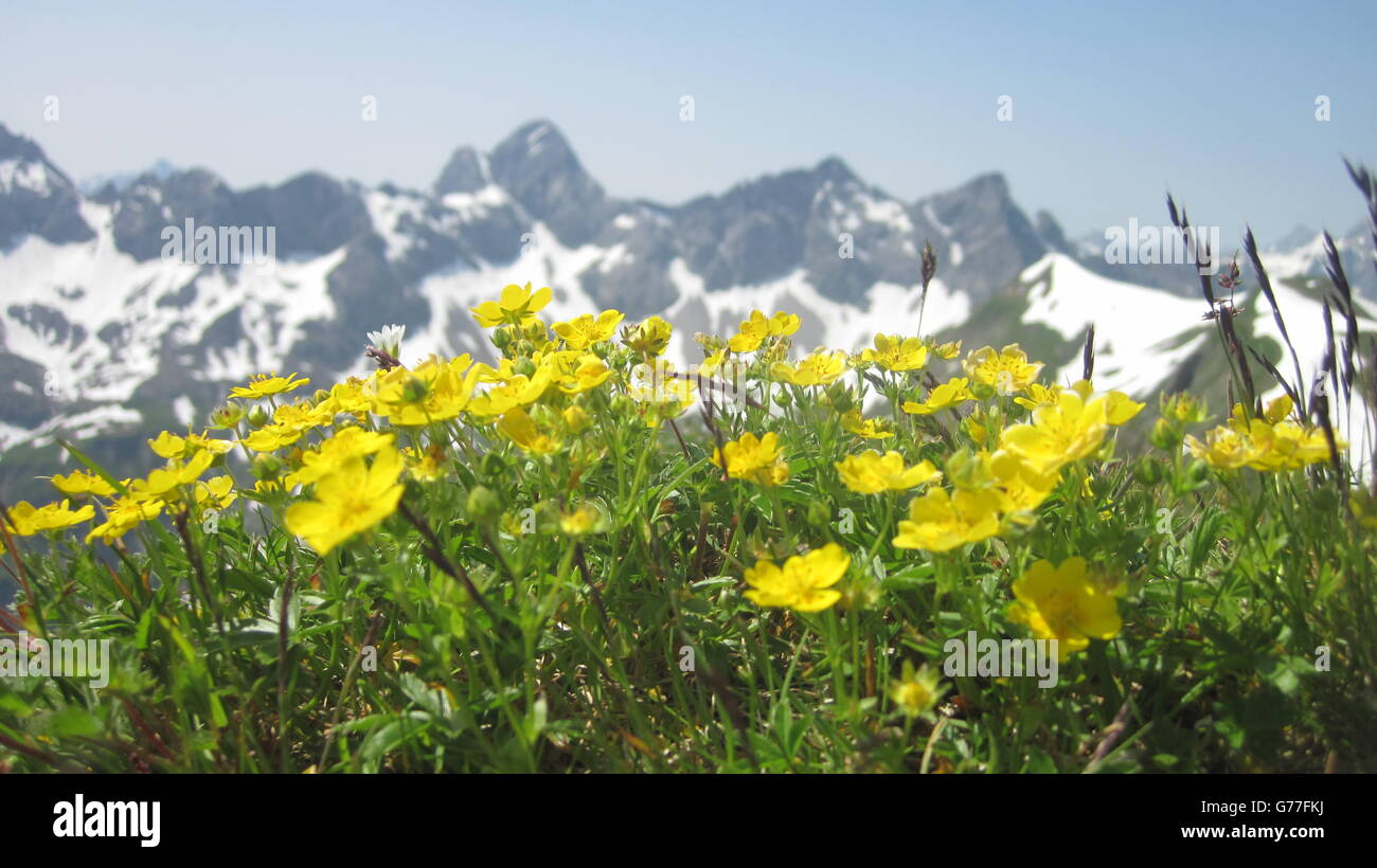 Scenic view on alpine mountain range with beautiful alpine spring ...