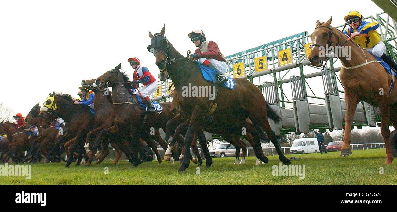 Flying start to the first day of the Turf Flat racing Season at ...