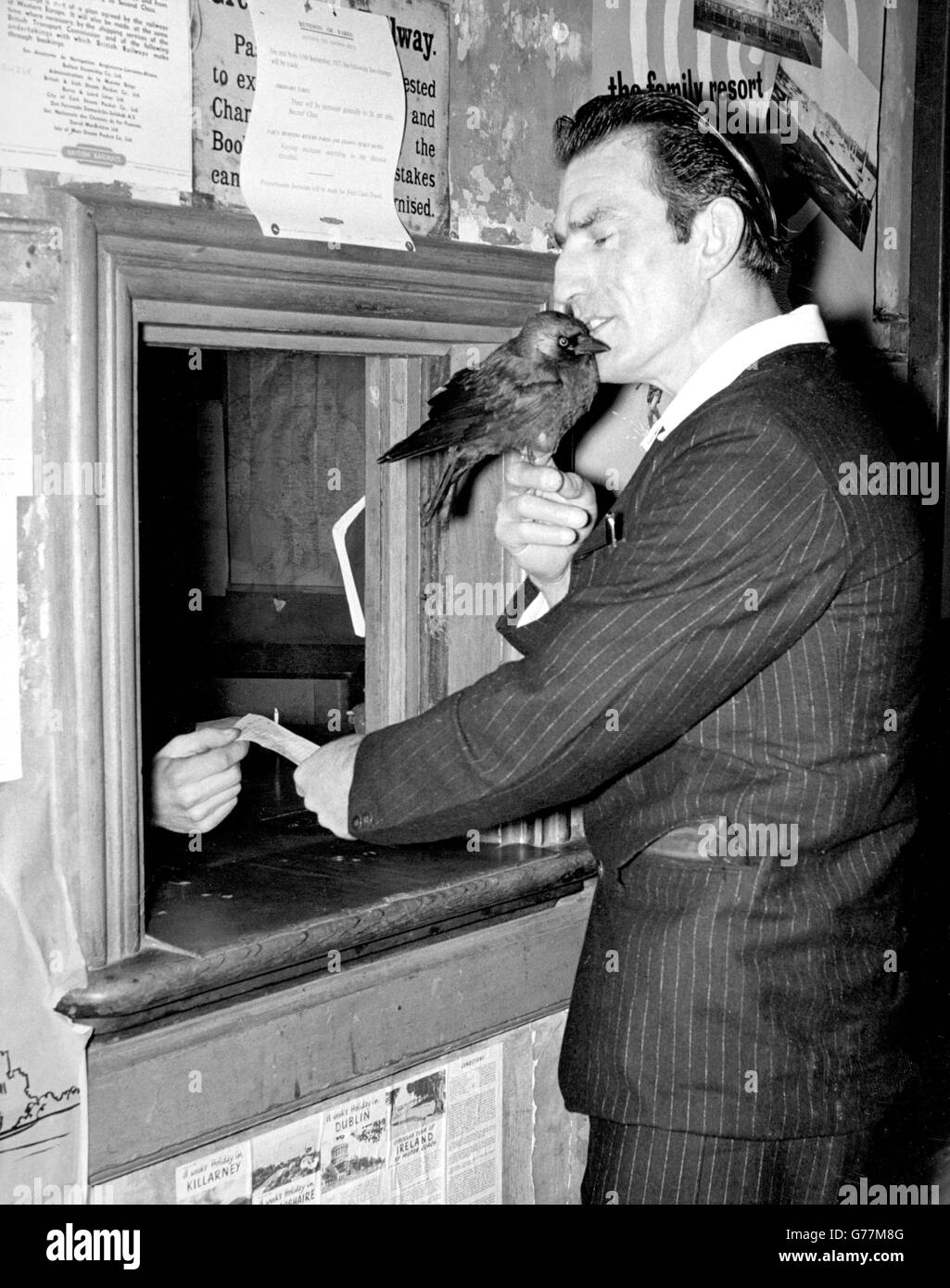 Bird released from cage hi-res stock photography and images - Alamy