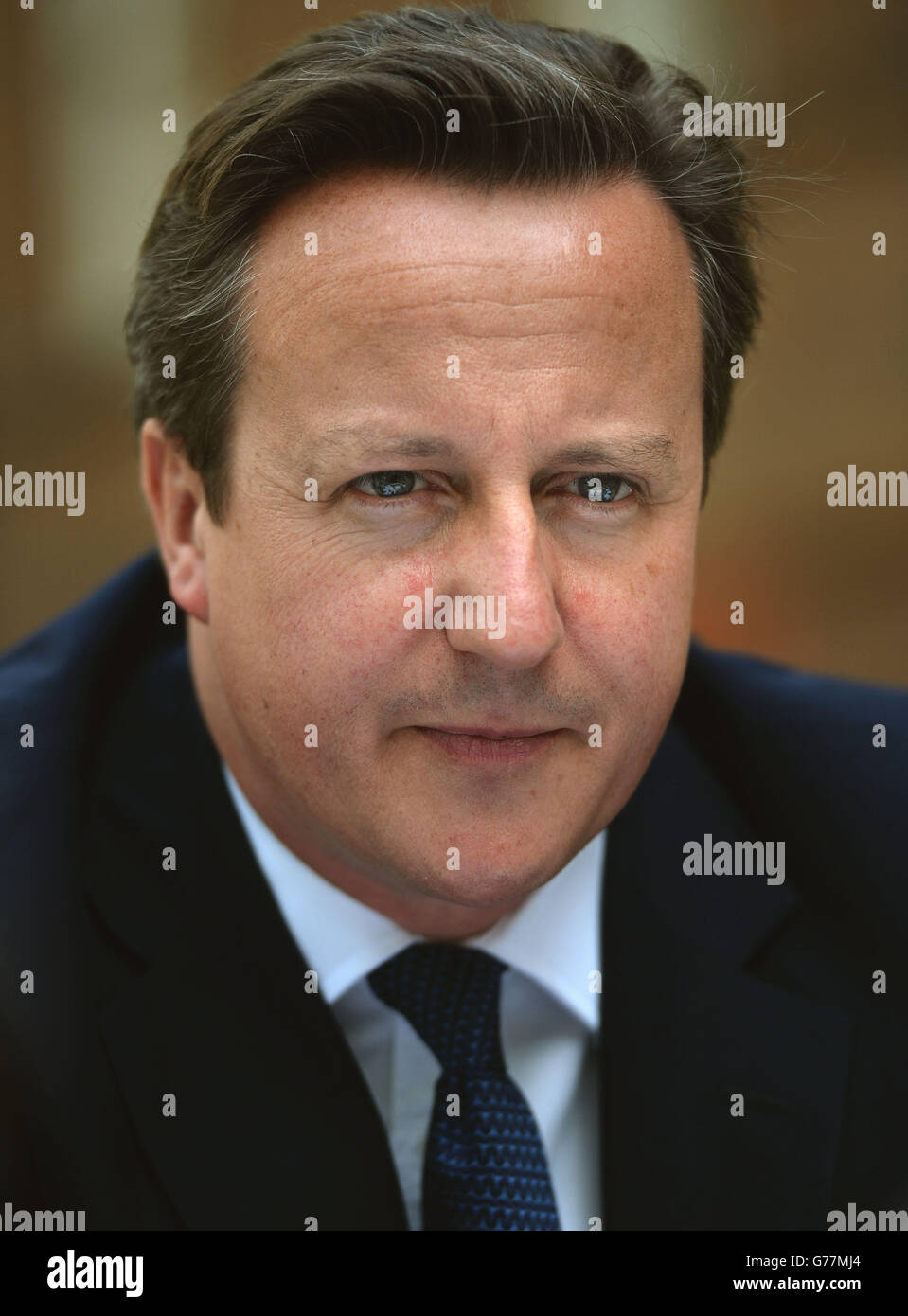 Prime Minister David Cameron during a reception to celebrate the ...