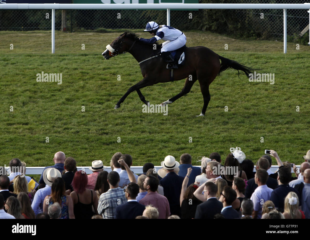 Horse racing glorious goodwood day five goodwood racecourse hi-res ...