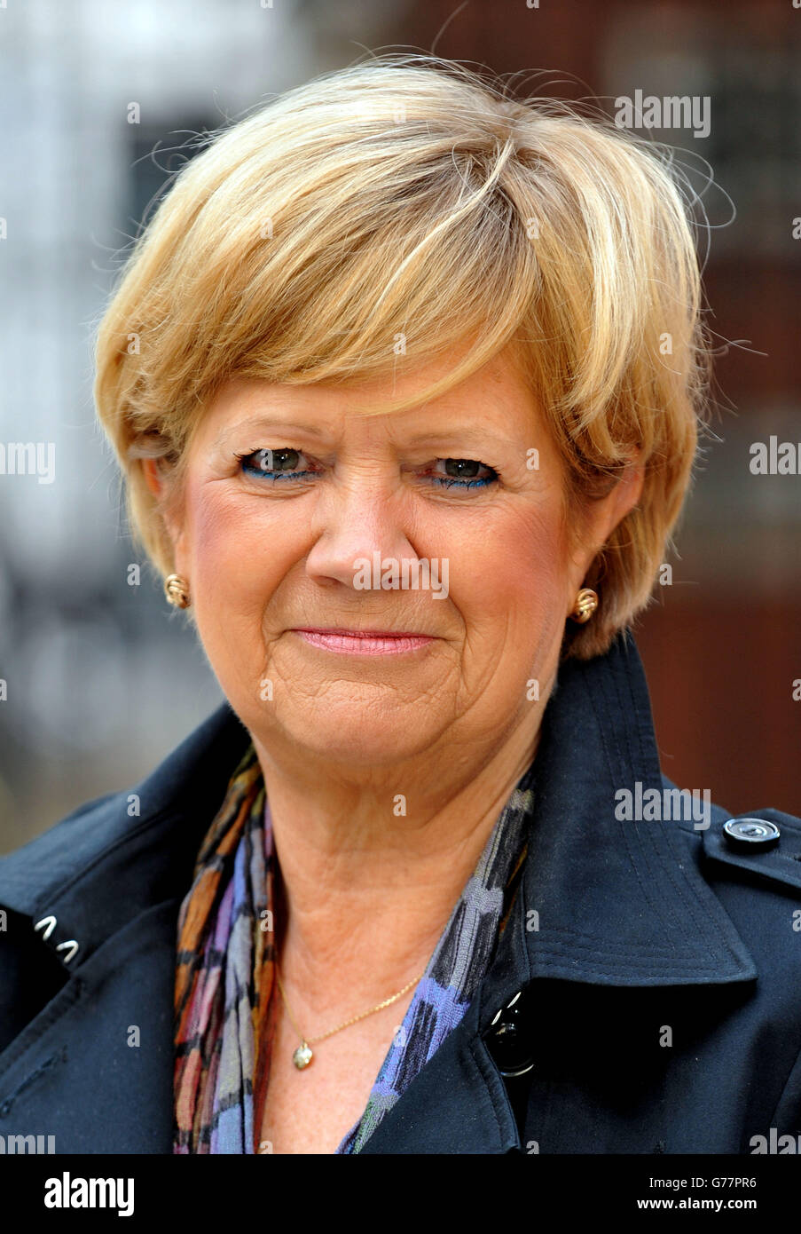 The Rt Hon Lady Justice Hallett DBE Vice President of the Court of ...