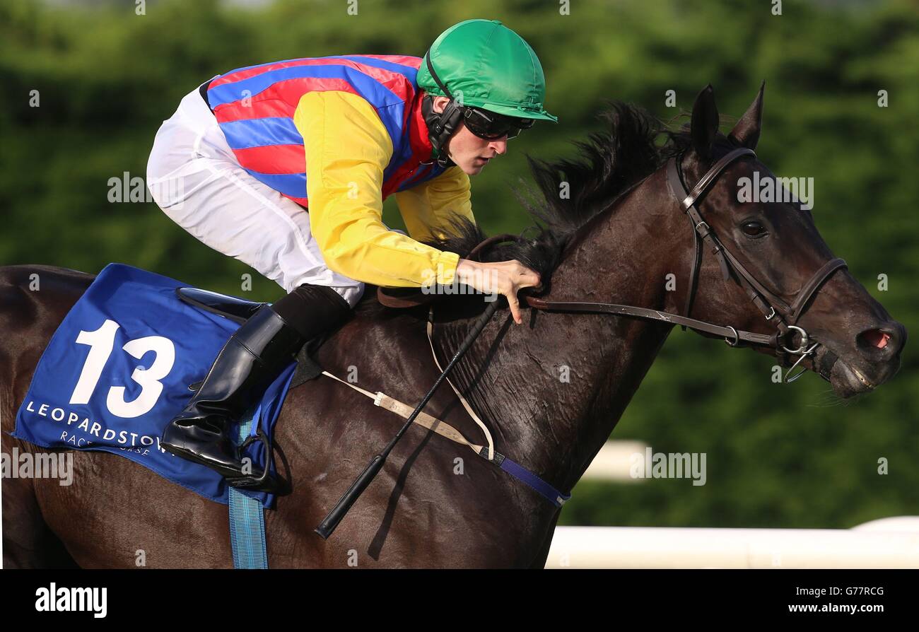 Horse Racing - Leopardstown Stock Photo - Alamy
