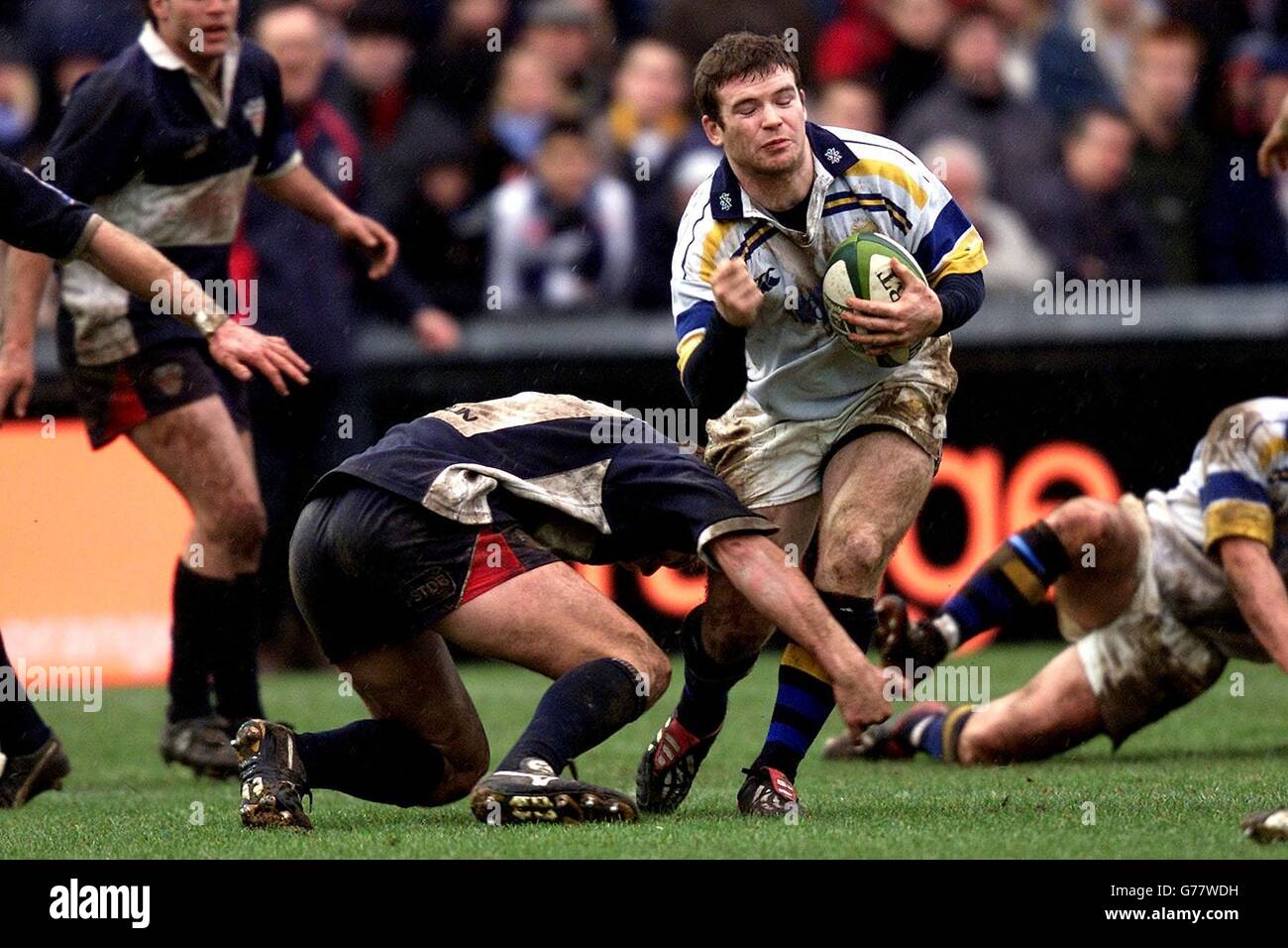 Darcy archer hi-res stock photography and images - Alamy