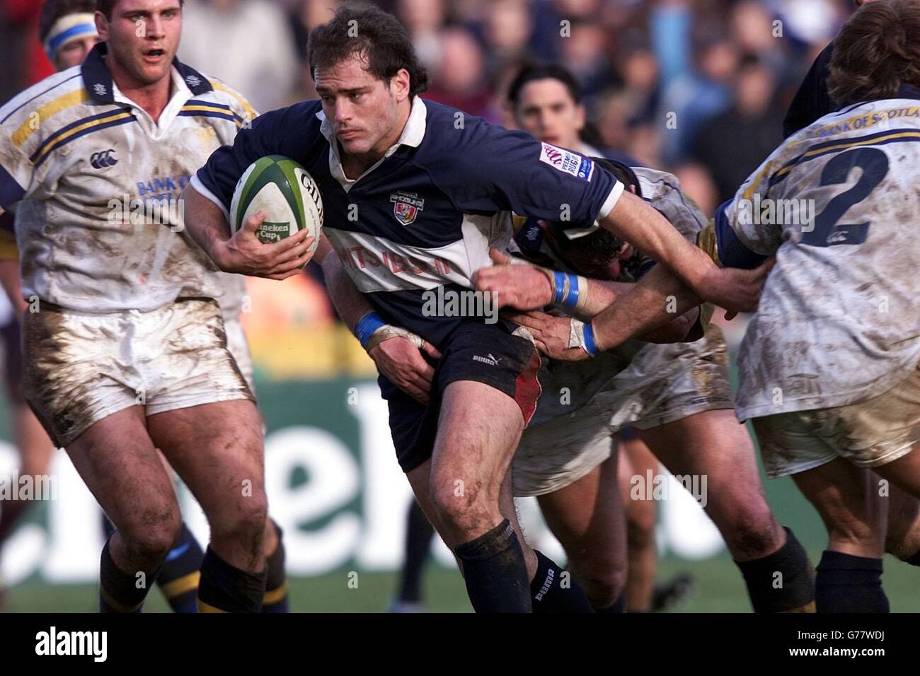 BRISTOL V LEINSTER Stock Photo - Alamy