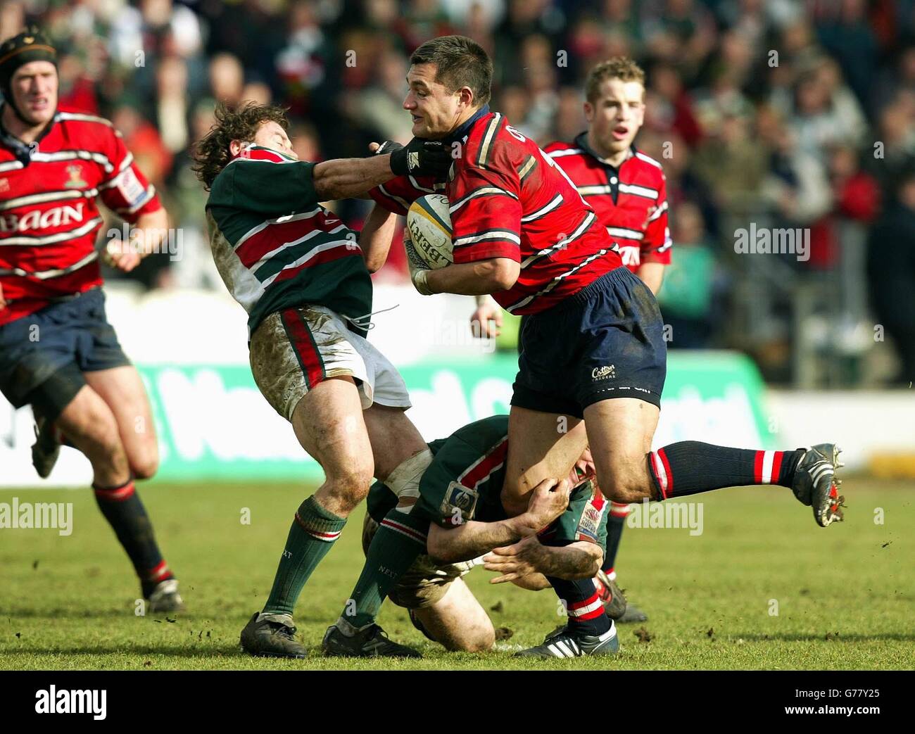 Gloucesters thinus delport hi-res stock photography and images - Alamy