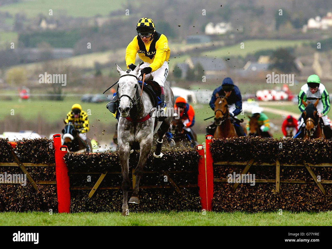 Rooster champion hi-res stock photography and images - Alamy