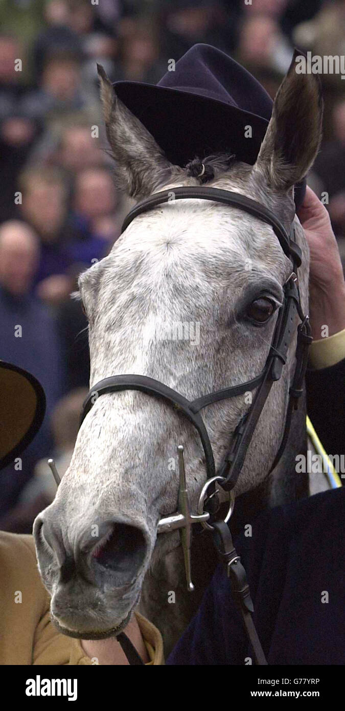 Rooster booster hi-res stock photography and images - Alamy