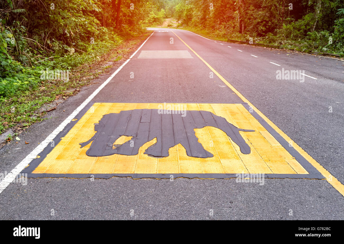 Road sign elephants crossing hi-res stock photography and images - Alamy