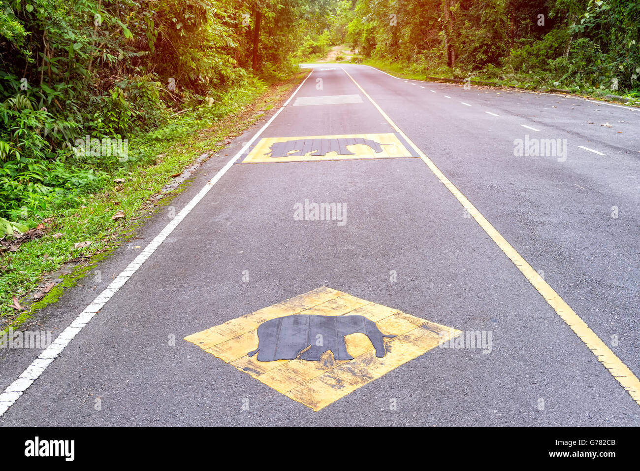 Beware of the elephant warning sign on asphalt road to tell that there ...