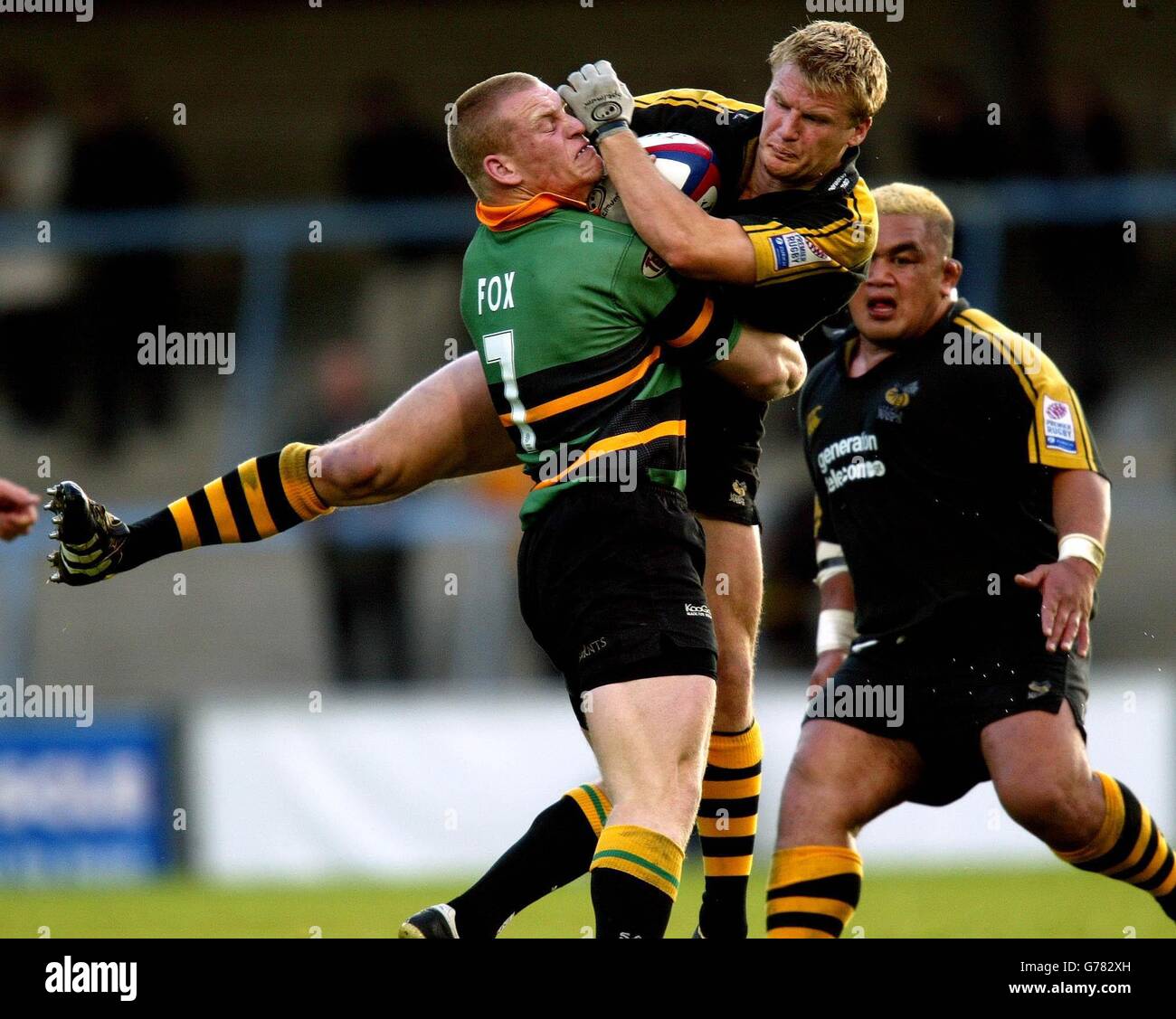 Wasps stuart abbott hi-res stock photography and images - Alamy