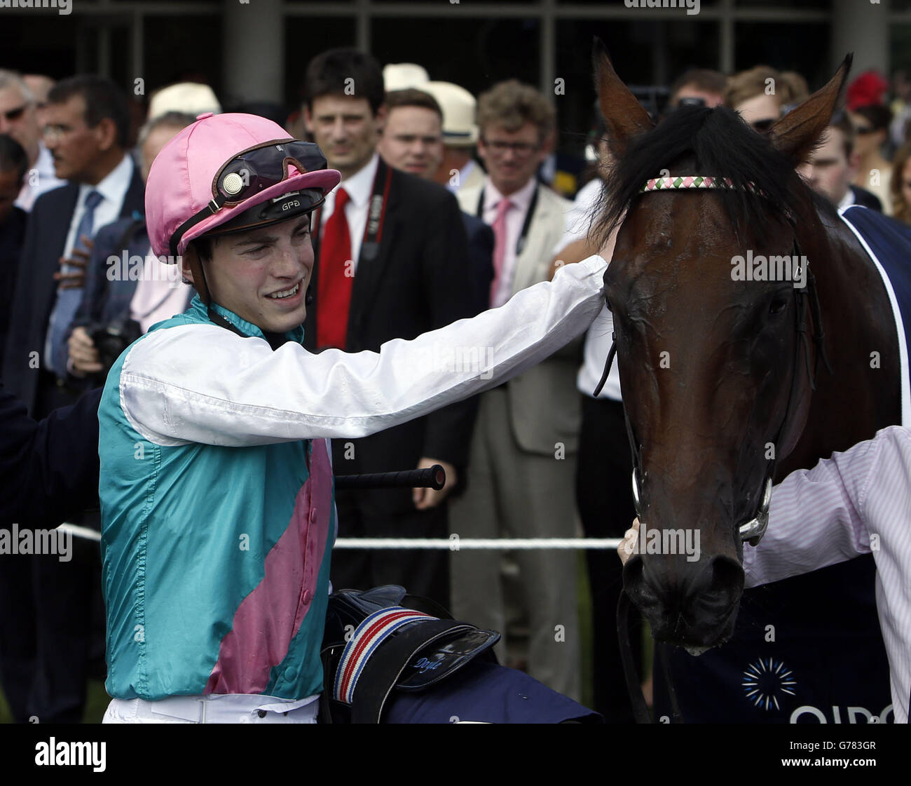 Kingman horse hi-res stock photography and images - Alamy