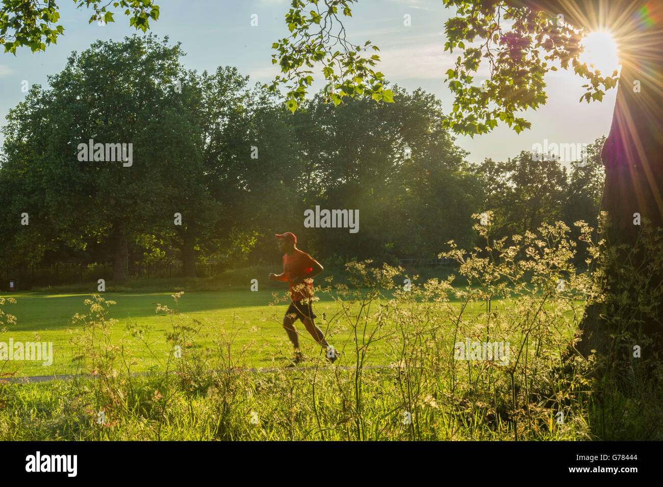 An early evening run in a London park Stock Photo - Alamy
