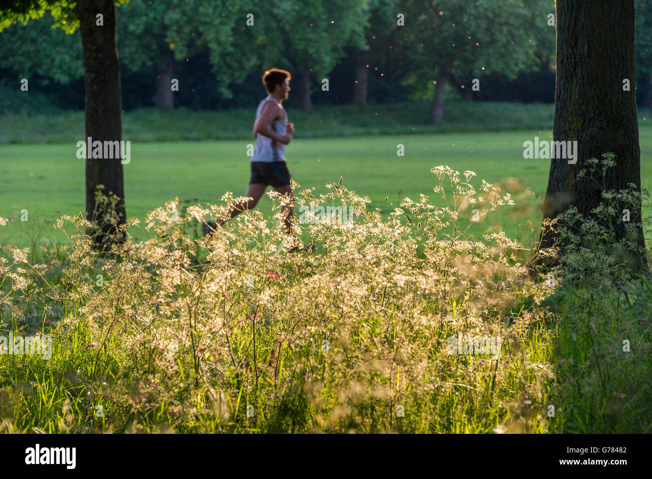 Evening jog hi-res stock photography and images - Alamy