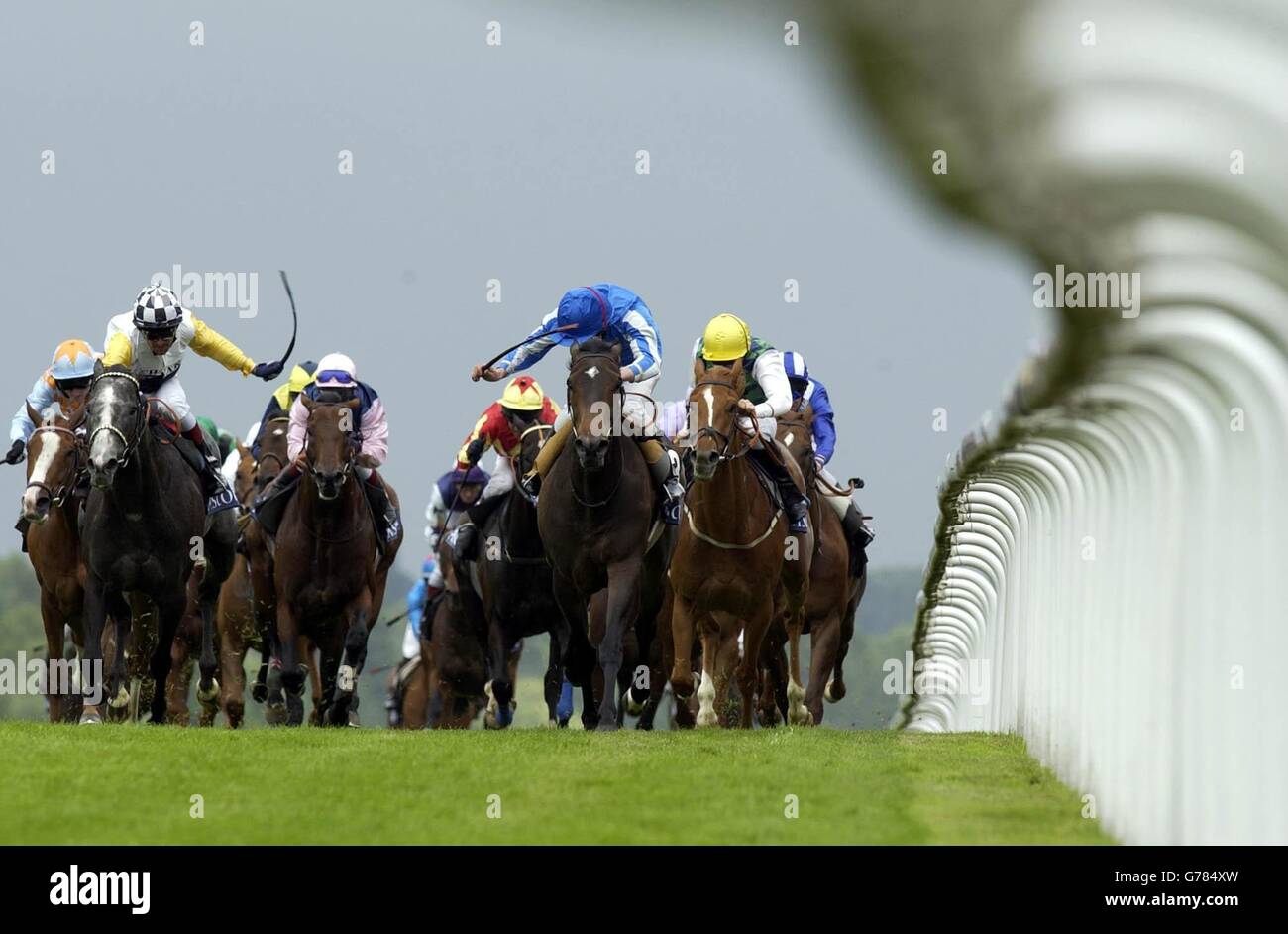 Win royal hunt cup hi-res stock photography and images - Alamy