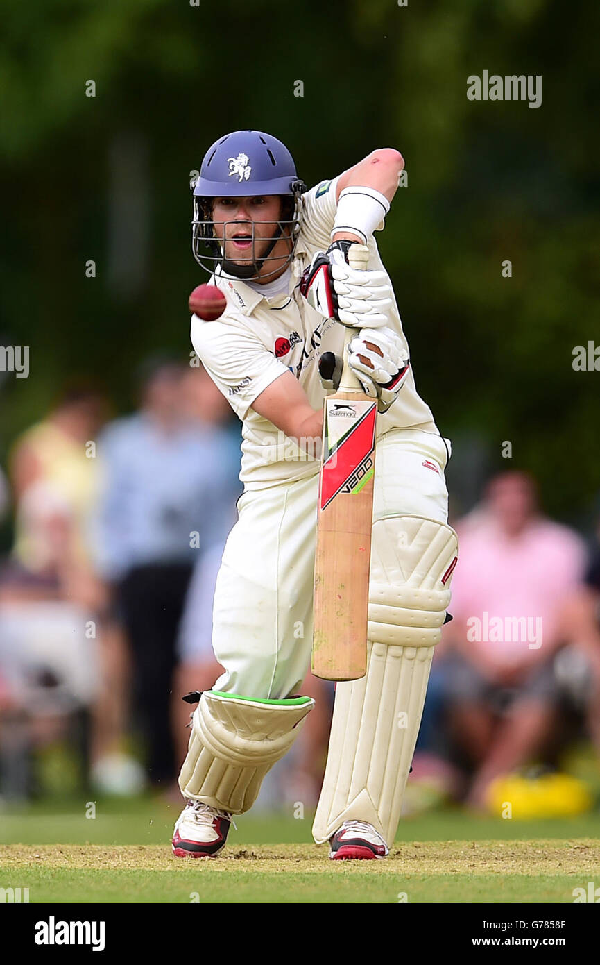 Cricket lv lv 1 batting bats ball full length action hi-res stock ...