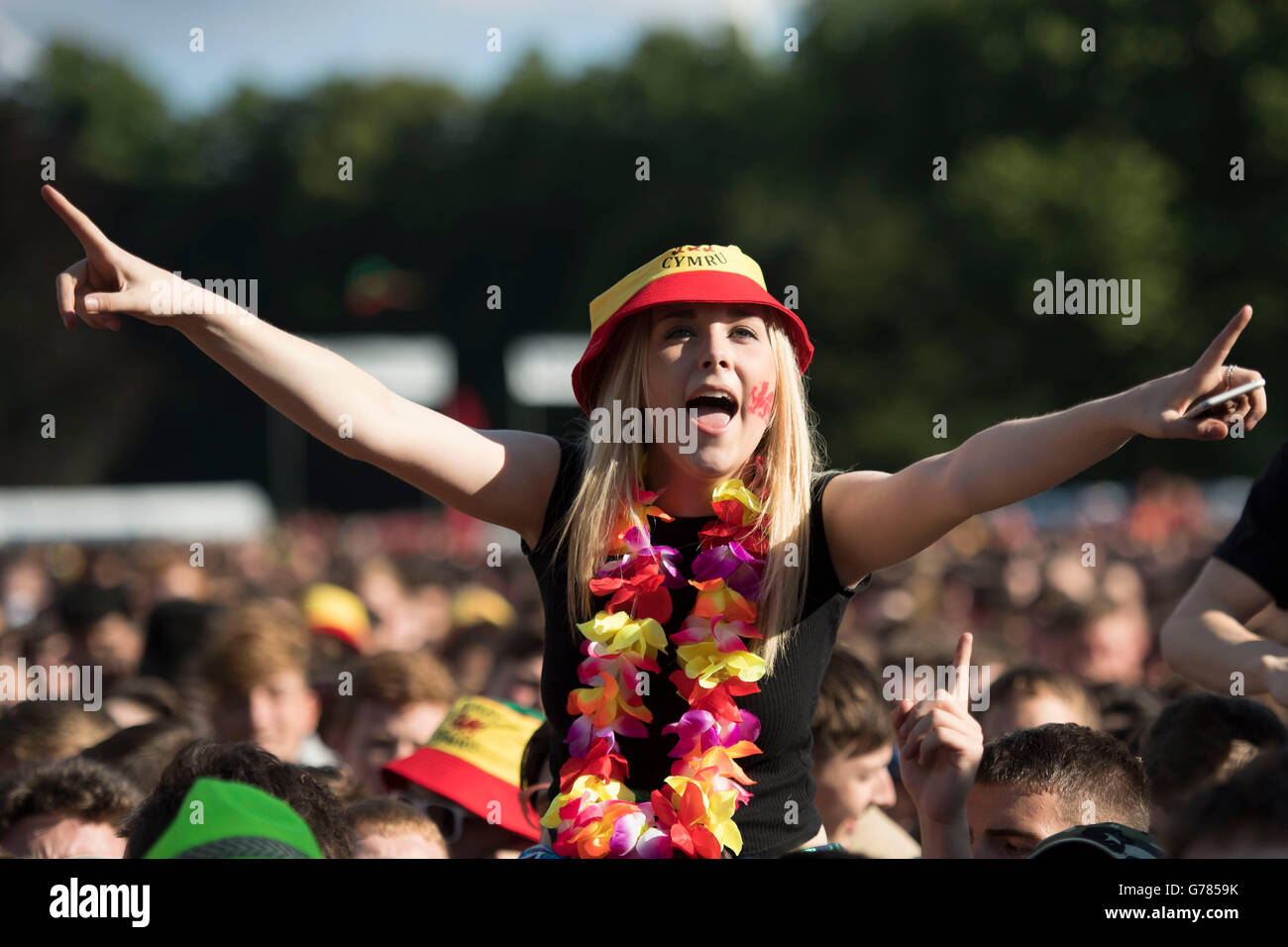 Welsh football fans celebrate in the Cardiff fan zone in Coopers Field ...