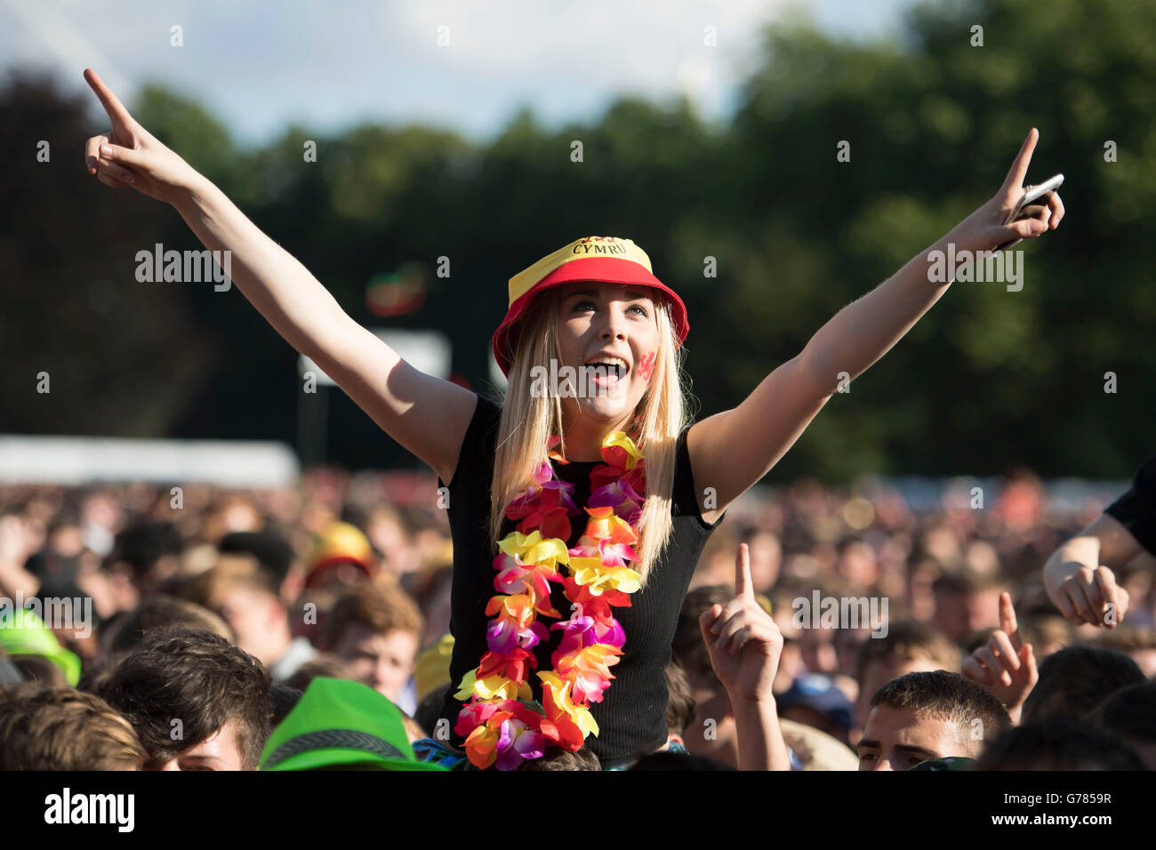 Welsh football fans celebrate in the Cardiff fan zone in Coopers Field ...